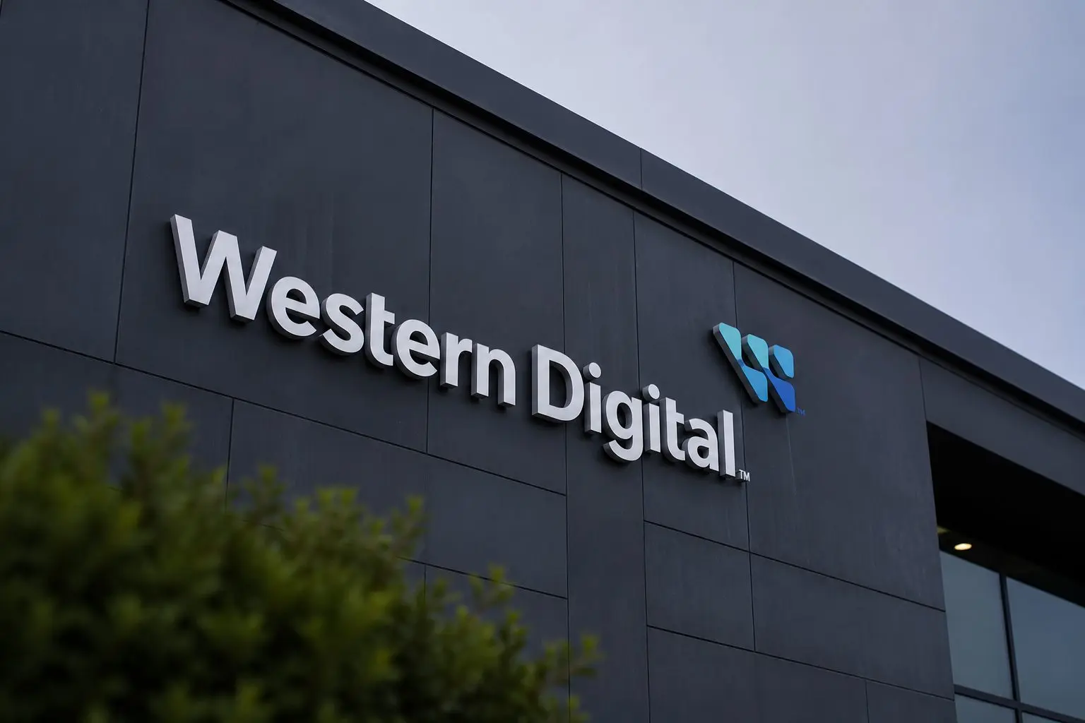Western Digital Shares Surge on Morgan Stanley Upgrade, AI Storage ...
